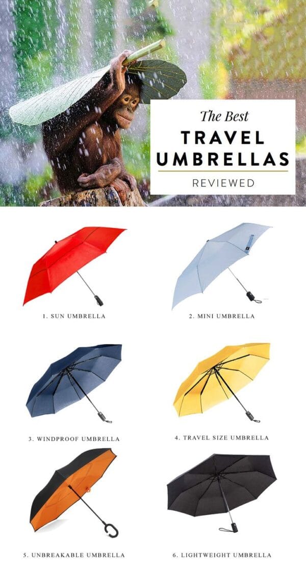 Umbrella Size & Type Selector - Find the Perfect Umbrella for Any Occasion - Umbrella TIPS
